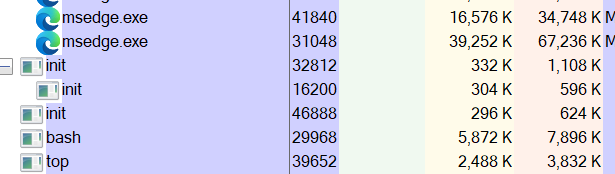 Isn't WSL2 just a VM?